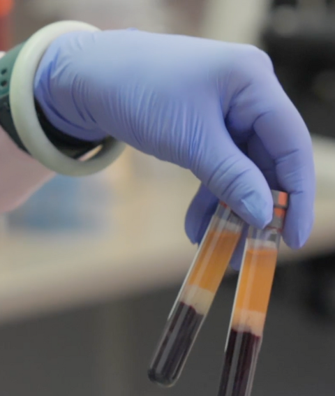 Blood Work & Lab Panels | Blood Testing | Lab Testing